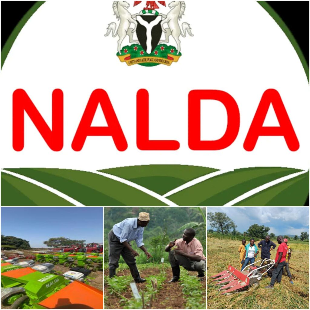 NALDA Mega Farm Initiative To Create 150,000 Jobs - News Agency Of Nigeria